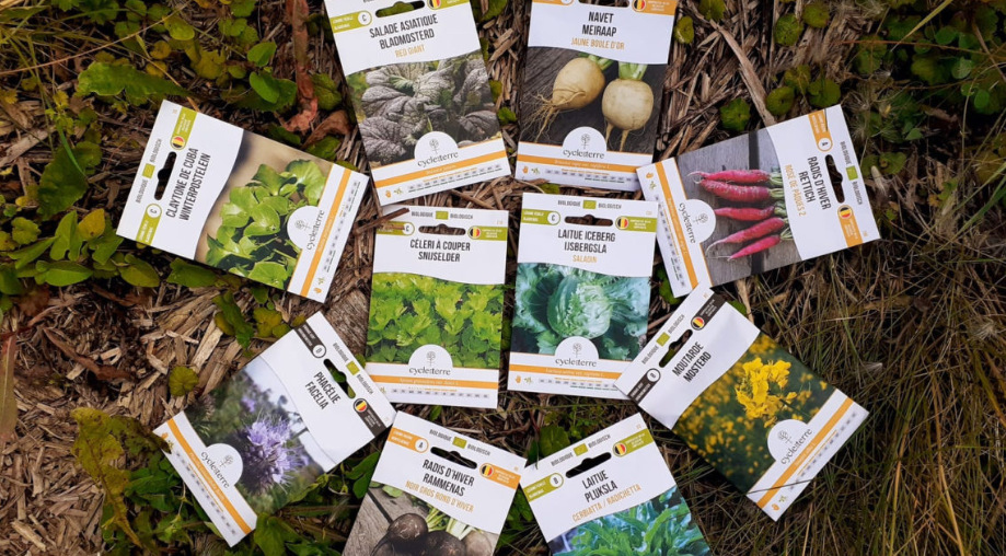 What to do in the vegetable garden in January | Cycle en Terre